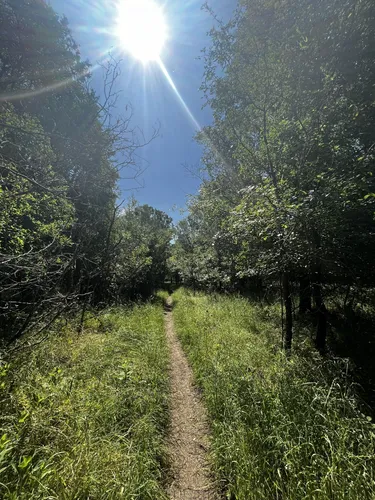 Best Hikes and Trails in Stephenson Preserve | AllTrails