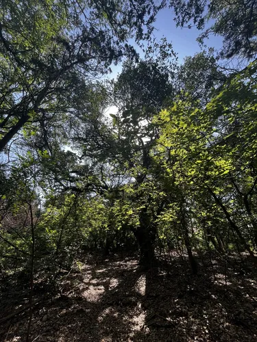 Best Hikes and Trails in Stephenson Preserve | AllTrails