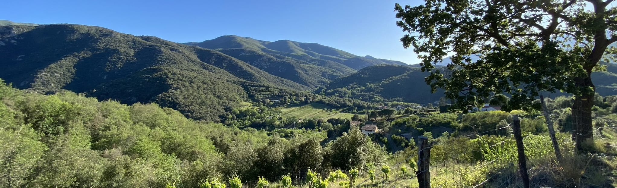 Le Pont de Reynès - Reynès: 10 Reviews, Map - Pyrénées-Orientales ...