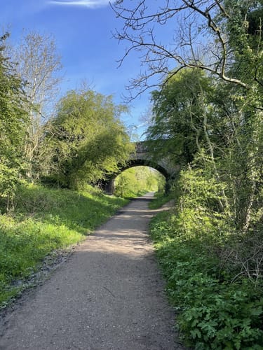 Best Hikes and Trails in Brierley Forest Park | AllTrails