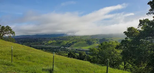 10 Best Hikes and Trails in Pleasanton Ridge Regional Park | AllTrails