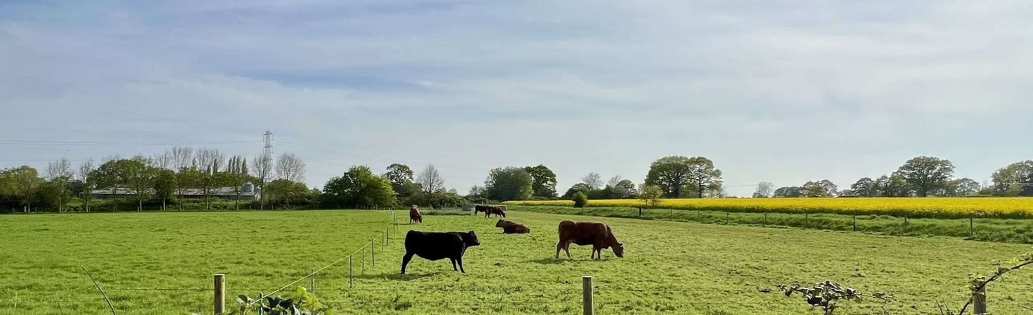 Bramley and Latchmere Green Circular, Berkshire, England - 20 Reviews ...