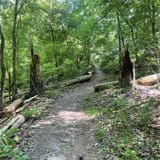 Cochran Mill Loop 1 and 2 (Orange), Georgia - 701 Reviews, Map | AllTrails