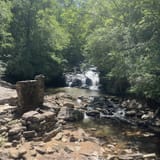 Cochran Mill Loop 1 and 2 (Orange), Georgia - 701 Reviews, Map | AllTrails