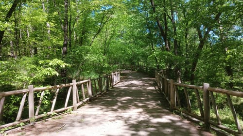 Best Hikes and Trails in Cherokee Park | AllTrails