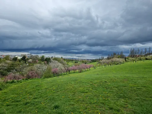 Best Hikes and Trails in Braidburn Valley Park | AllTrails