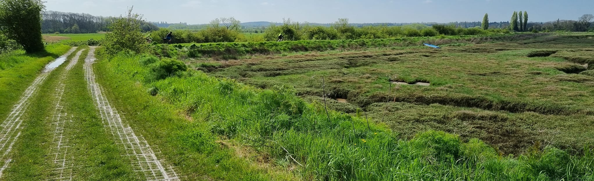 Saxon Shore Way: Whitstable to Faversham, Kent, England - 78 Reviews ...