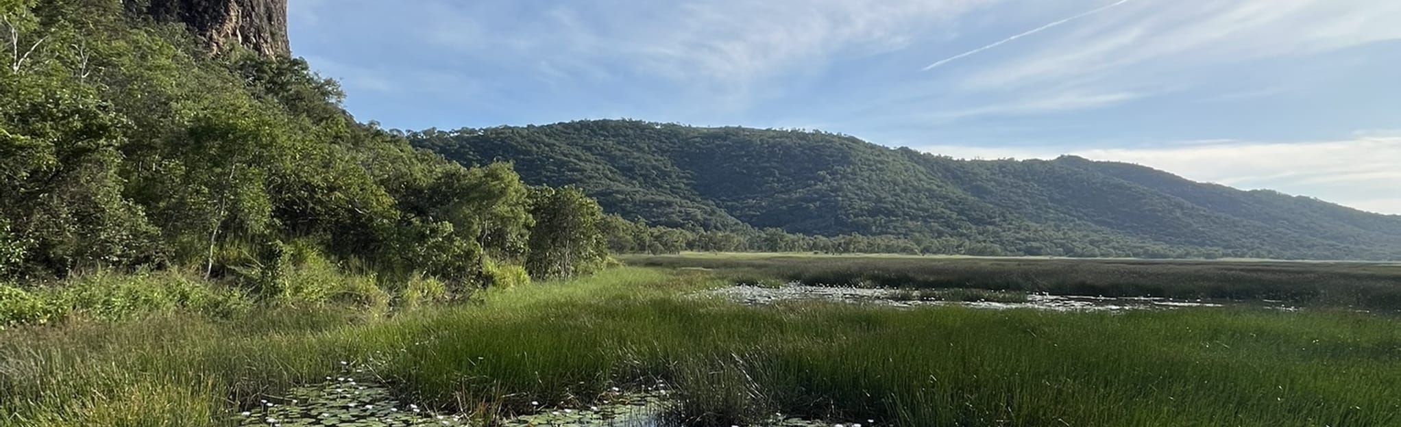AllTrails | Town Common Loop via Shelly Beach and Cape Pallarenda: 36 ...