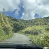 Pico Rodadero Trail: 137 fotos - South Region, Puerto Rico | AllTrails