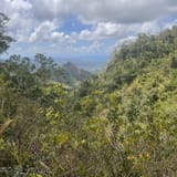 Pico Rodadero Trail: 137 fotos - South Region, Puerto Rico | AllTrails