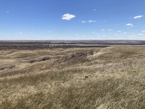 Best Hikes and Trails in Cross Ranch Preserve | AllTrails