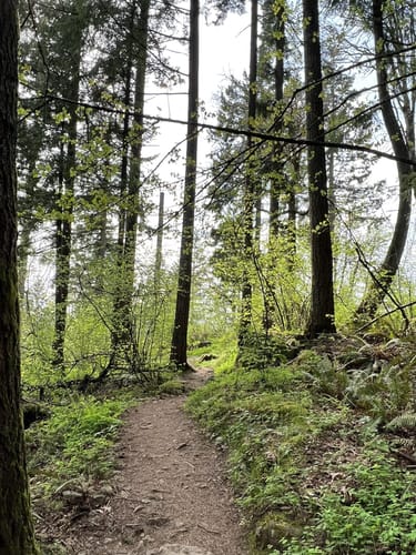 Best Hikes and Trails in Clackamas | AllTrails