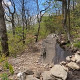 Springer Mountain, Georgia - 597 Reviews, Map | AllTrails