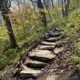 Springer Mountain, Georgia - 597 Reviews, Map | AllTrails