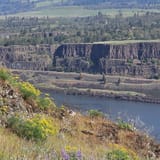 Rowena Plateau Trail, Oregon - 685 Reviews, Map | AllTrails