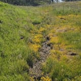 Rowena Plateau Trail, Oregon - 685 Reviews, Map | AllTrails