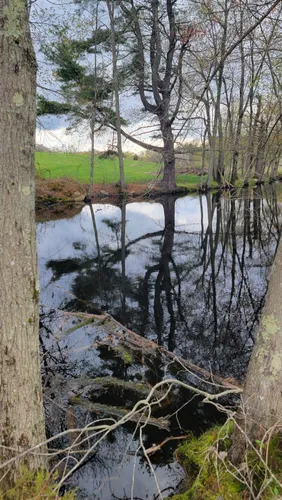 Best Hikes and Trails in Breakneck Hill Conservation Area | AllTrails