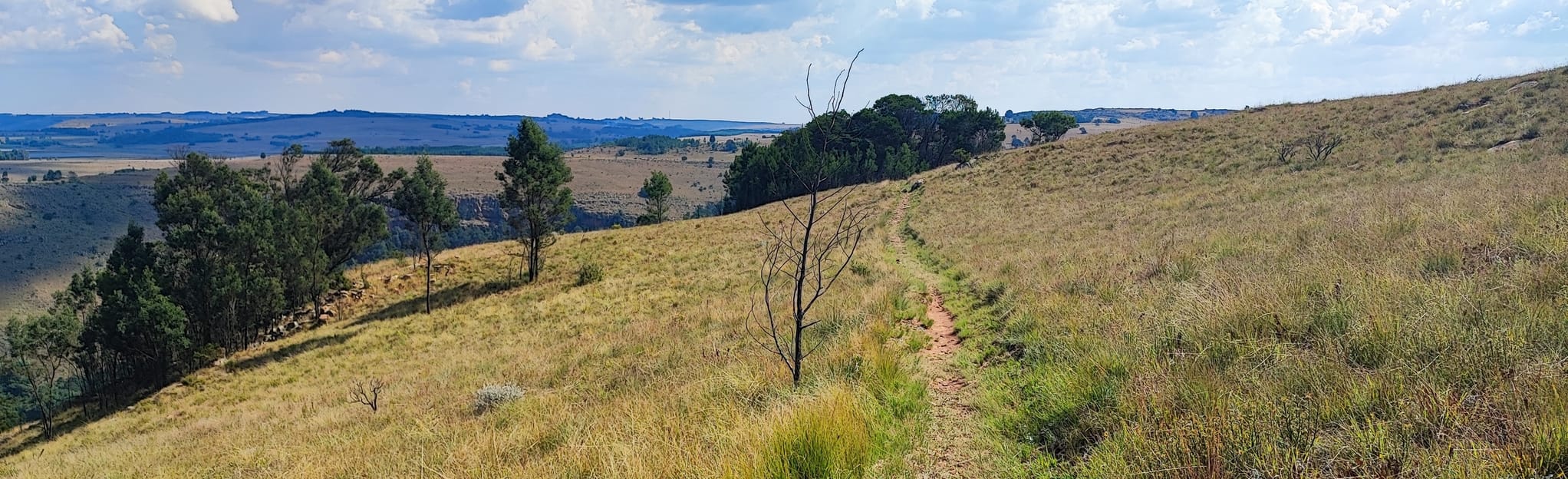 Lynx Loop: 44 foto - Mpumalanga, Sudafrica | AllTrails