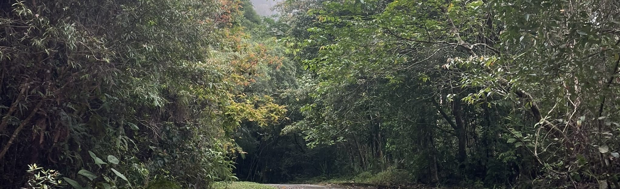 Gunung Serapi, Sarawak, Malaysia - 46 Reviews, Map | AllTrails