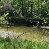 Deer Run Trail, Missouri - 732 Reviews, Map | AllTrails