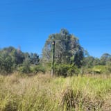 Bulimba Creek Loop, Queensland, Australia - 156 Reviews, Map | AllTrails