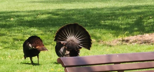 Best Hikes and Trails in Fort Daniel Conservation Area | AllTrails