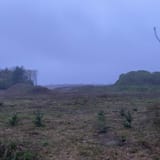 Cook Conservation Area Loop, Massachusetts - 823 Reviews, Map | AllTrails