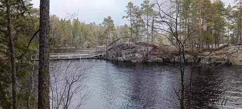 Best Hikes and Trails in Pukala Recreation Forest | AllTrails