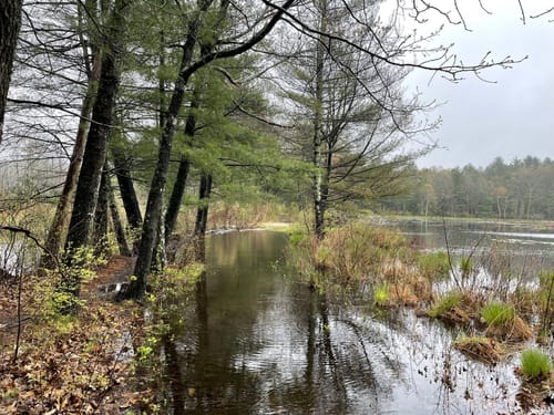 2023 Best Easy Trails in Assabet River National Wildlife Refuge | AllTrails