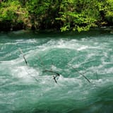 Greer Spring Trail, Missouri - 326 Reviews, Map | AllTrails