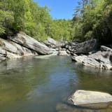 Spence Ridge Trail, North Carolina - 317 Reviews, Map | AllTrails