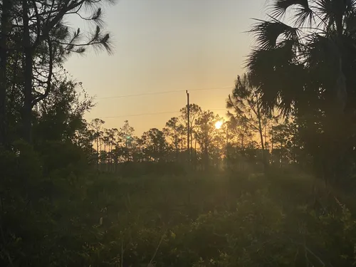 Best Hikes and Trails in Pop Ash Creek Preserve | AllTrails