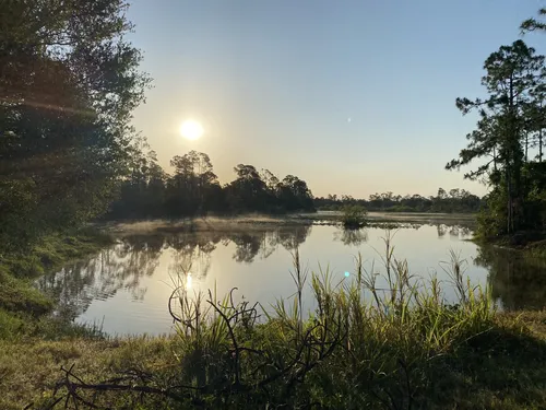 Best Hikes and Trails in Pop Ash Creek Preserve | AllTrails