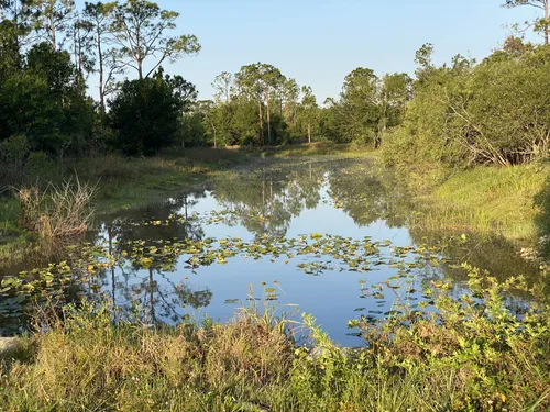 Best Hikes and Trails in Pop Ash Creek Preserve | AllTrails