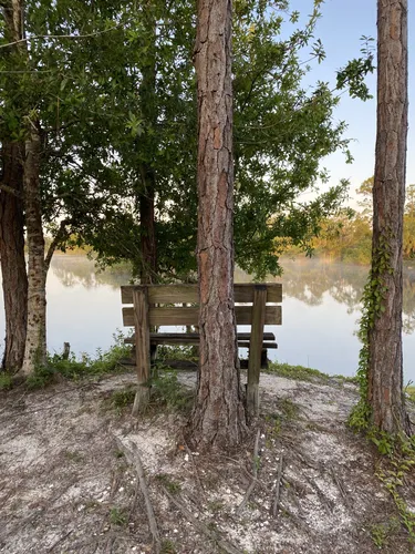 Best Hikes and Trails in Pop Ash Creek Preserve | AllTrails