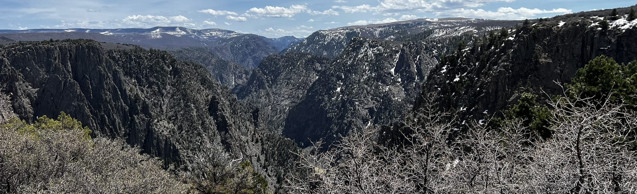 Tomichi Trail: 151 Reviews, Map - Colorado | AllTrails