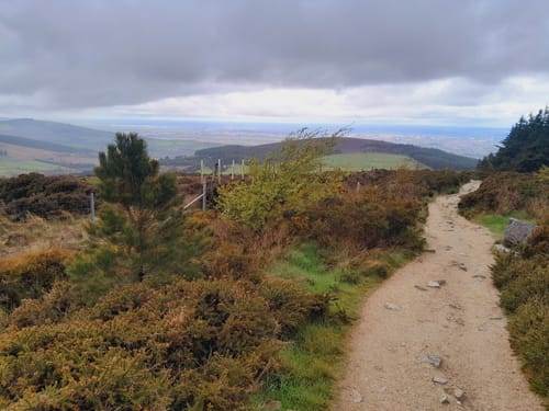 Beste wandelingen en routes in Cruagh Wood | AllTrails