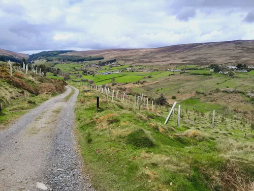 10 Best Trails and Hikes in Glencullen | AllTrails
