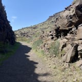 Cowiche Canyon Trail, Washington - 541 Reviews, Map | AllTrails