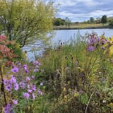 Killbuck Lake Loop, Ohio - 66 Reviews, Map | AllTrails