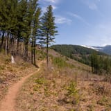 Hidden Falls via Tarbell Trail , Washington - 623 Reviews, Map | AllTrails