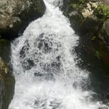 Three Ridges Trail, Virginia - 874 Reviews, Map | AllTrails