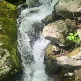 Three Ridges Trail, Virginia - 874 Reviews, Map | AllTrails