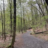 Tinker Falls Trail, New York - 492 Reviews, Map | AllTrails