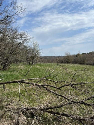 Best Hikes and Trails in Fox Hill Nature Preserve | AllTrails