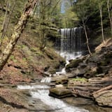 Tinker Falls Trail, New York - 492 Reviews, Map | AllTrails