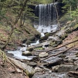 Tinker Falls Trail, New York - 492 Reviews, Map | AllTrails