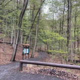 Tinker Falls Trail, New York - 492 Reviews, Map | AllTrails