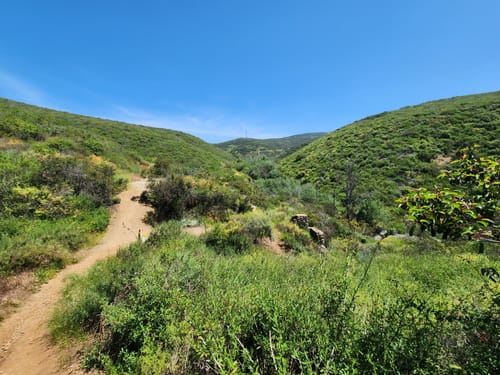 2023 Best 10 Trails and Hikes in San Marcos | AllTrails
