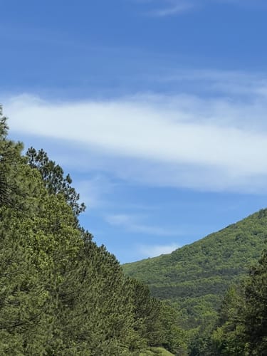 Best 10 Hikes and Trails in Cheaha Wilderness | AllTrails